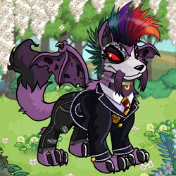 Neopets Pet Spotlight