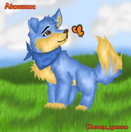 Neopets - Your Pictures!
