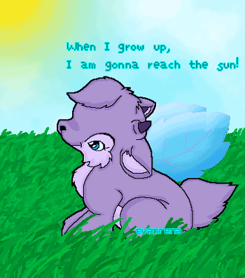 Neopets - Your Pictures!