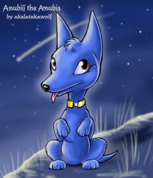 Neopets - Your Pictures!