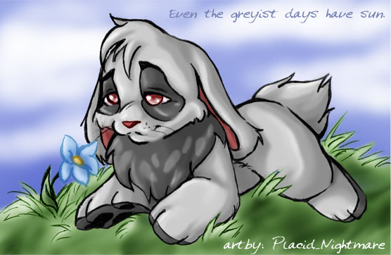 Neopets - Your Pictures!