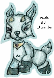 Neopets - Your Pictures!