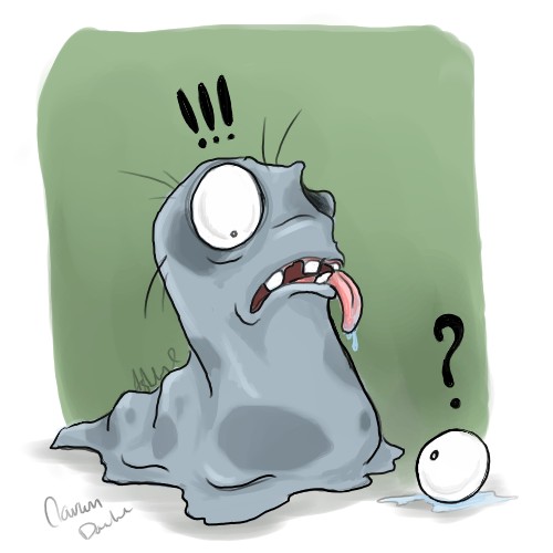 Neopets - Your Pictures!