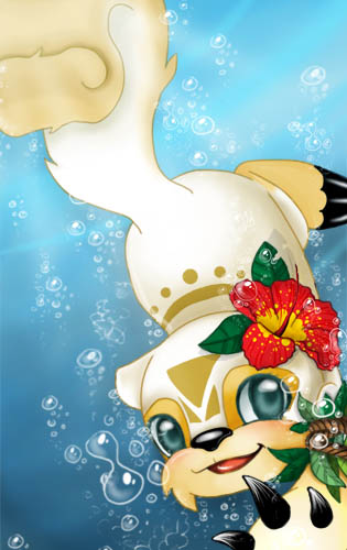 Neopets - Your Pictures!