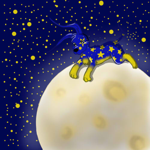 Neopets - Your Pictures!