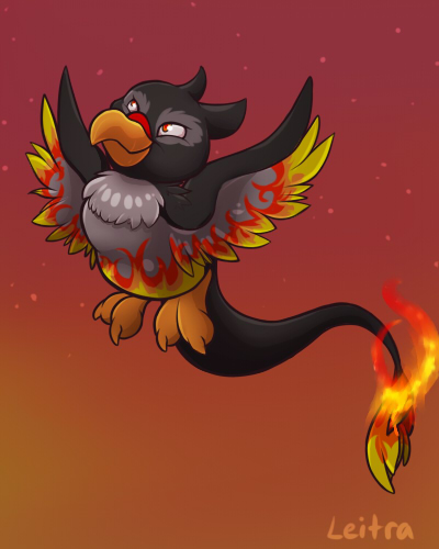 Neopets - Your Pictures!