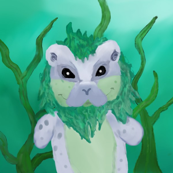 Neopets - Your Pictures!