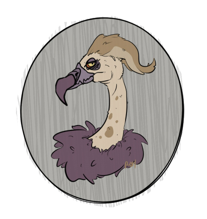 Neopets - Your Pictures!