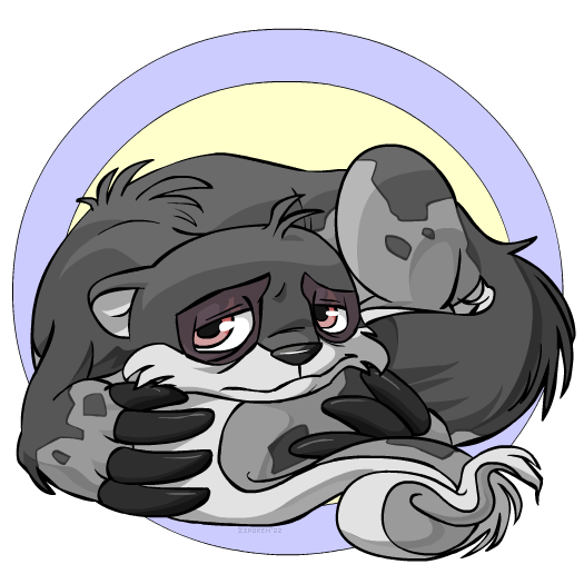 Neopets - Your Pictures!