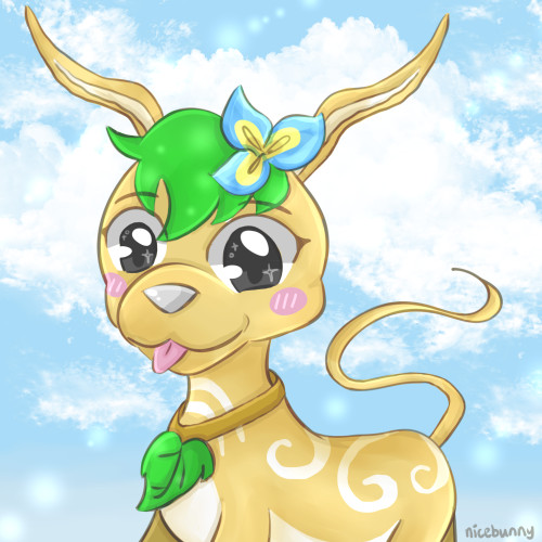Neopets - Your Pictures!
