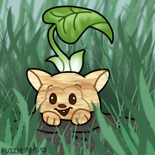 Neopets - Your Pictures!